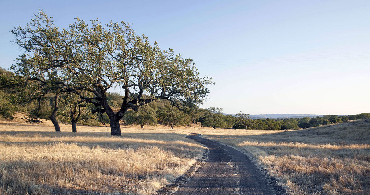 The iconic Sycamore Valley Ranch, California | FINEST RESIDENCES